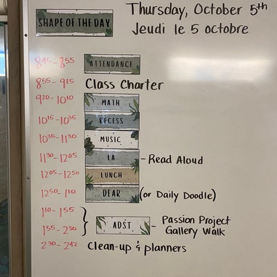 PLANTS & FOLIAGE Birthday Display, Celebration Classroom Display, Boho ...