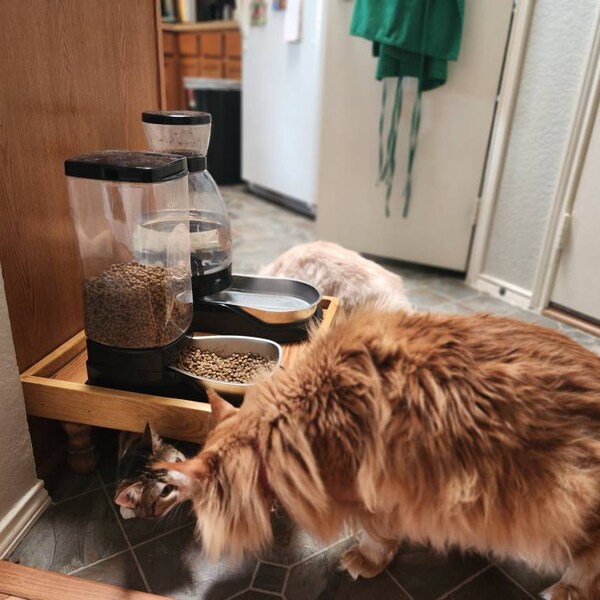 Medium Standard or Double Custom Made Pet Feeding Tables. Elevated Cat ...