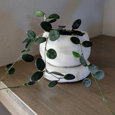 Concrete Minimalist Planter, Slanted Pot, Table Centerpiece ...
