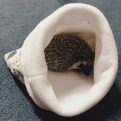 Cute Hedgehogs Snuggle Sack for Hedgehogs Rats Guinea - Etsy