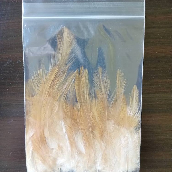 Cruelty Free Feathers - 10 All Natural Black and White Secondary Wing ...