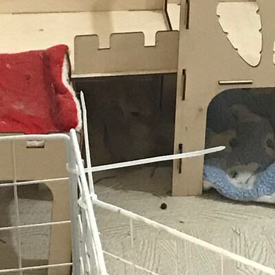 Wooden Rabbit House, Bunny сastle 2 Ramps - Etsy