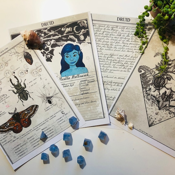 Flora & Fauna Druid Character Sheet Dungeons and Dragons 5e - Etsy UK