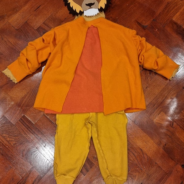 Lion Cub Costume Mask, World Book Day Costume, Costume Gift, Child ...