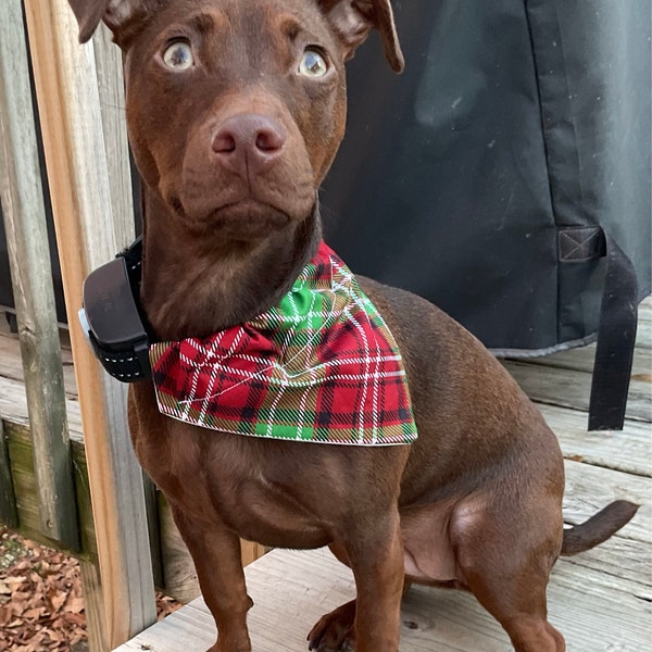 The Ohio State University Brutus Buckeye, Licensed, Over the Collar Dog ...