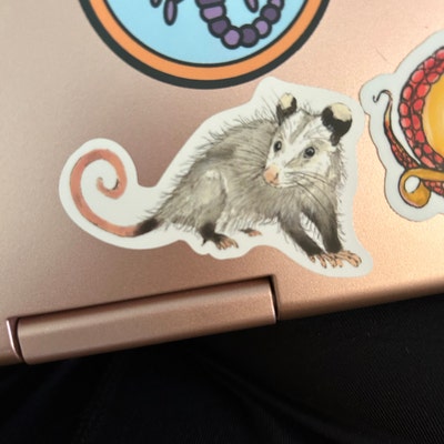 Sticker: Vintage Rainbow Possum Opossum Planner Craft Vinyl - Etsy