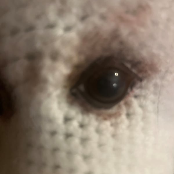 16mm Safety Eye Eyelids in Brown – 2 Pairs – Amigurumi / Toy Eye Lids ...