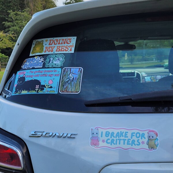 I Brake For... Bumper Sticker Cute Bumper Sticker, Coquette Bumper ...