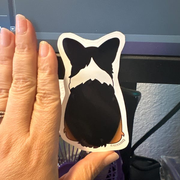 Border Collie Sticker for Border Collie Lover Sticker for Water Bottle ...