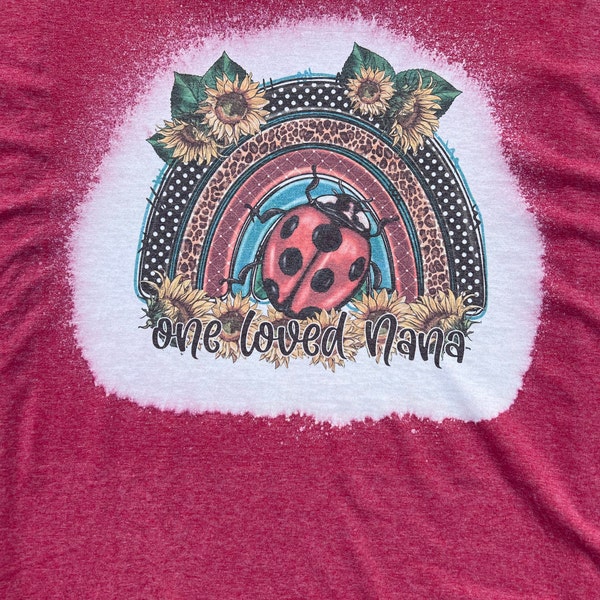 Western Ladybug Rainbow Png Sublimation Design, Ladybug Rainbow Png ...