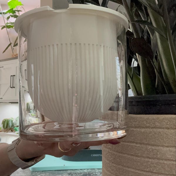 Float | Medium (6") Modern Self-watering Planter Pot With Glass Water ...