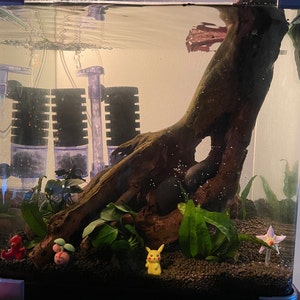 Godzilla Fish Tank Decorations - Etsy