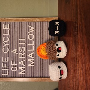 Zombie Kidney Amigurumi Pattern Kidney Transplant or Donor - Etsy