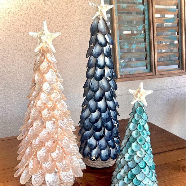 Real Jungle Mud Starfish Orange Brown Amber Color One 1 Pcs 2 to 3 1/2 ...