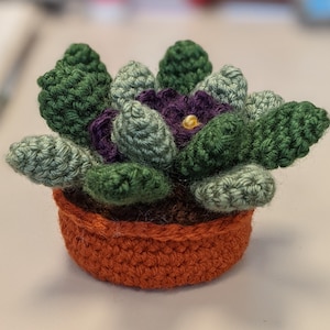 African Violet Crochet Pattern - Etsy