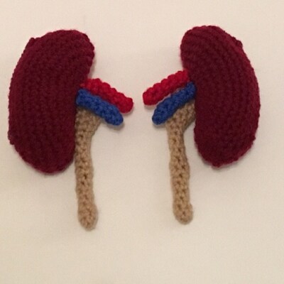 Kidneys Crochet Pattern, Kidney Crochet Pattern, Kidney Amigurumi ...