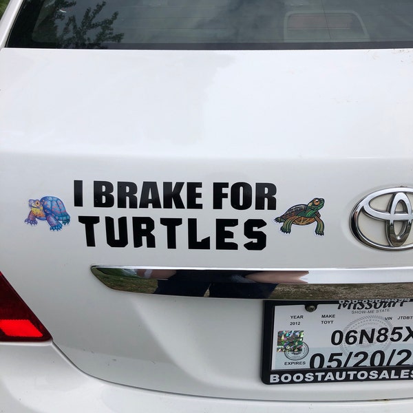 Watercolour on Wood Rainbow Ball Python Snake Print - Etsy