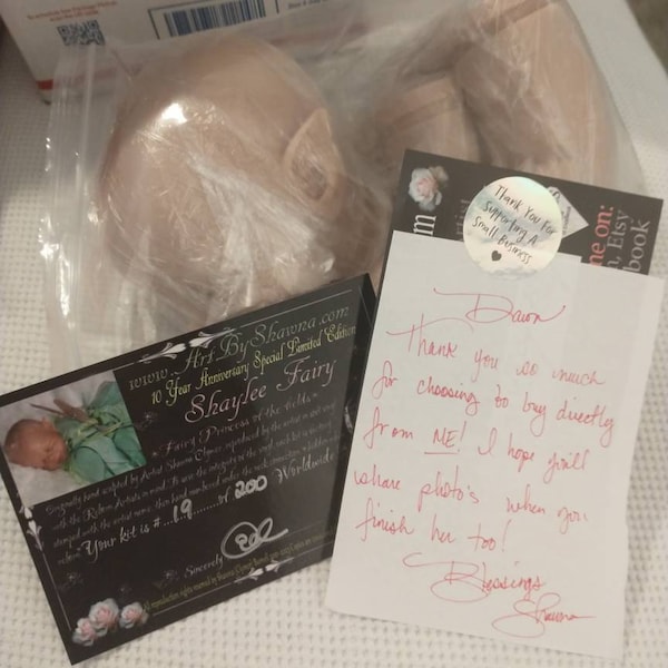 Shaylee Fairy Reborn Kit 10 Year Anniversary SPECIAL Edition 19" Blank ...