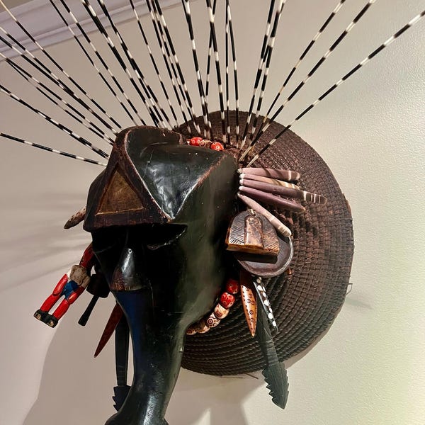 7-10 Hanging Light Puffer Fish Real Blowfish Lamp Taxidermy Animal ...