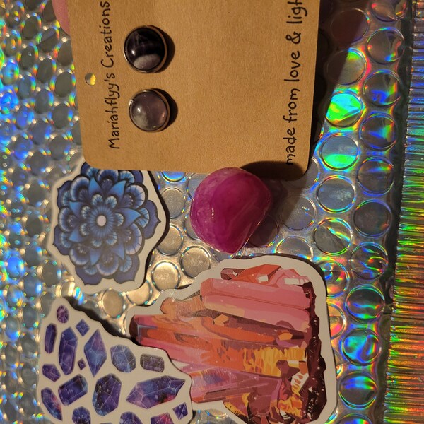 One Rare Caribbean Prickly Pear Pad Cactus Plant - Easy to Grow - Will ...