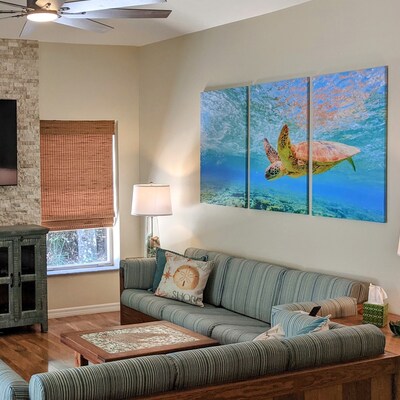 Turtle Print Turtle Home Decor Turtle Pictures Sea Photo - Etsy