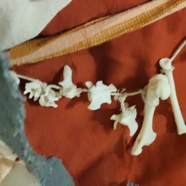 Mouse Skull Real Tiny Mouse Skulls Cleaned Whitened Reassembled ...