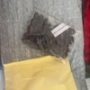 25 Dalbergia Melanoxylon Seeds, African Blackwood Seeds , Grenadilla ...