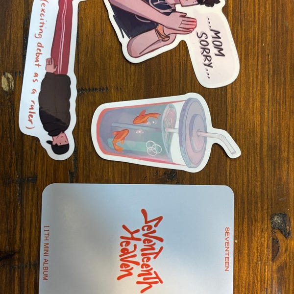 Pi Cheolin Transparent Sticker (seventeen/svt/kpop/deco) - Etsy