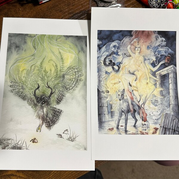 A Guide to Woodland Fae Poster - Etsy