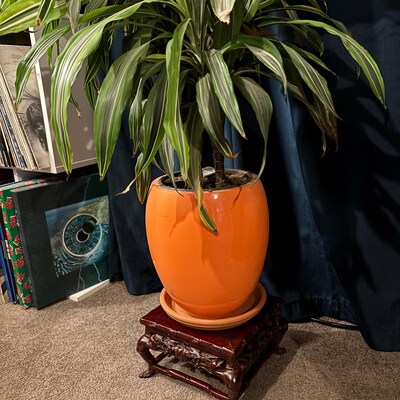 Vintage Money Wrapping Paper, Money Gift Wrap, Money Paper, USD Dollars ...