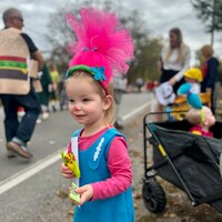Amy Rose Mask/hedgehog Face/girl Hedgehog Costume/pink Hedgehog ...
