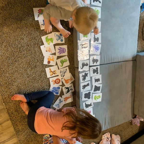 SHADOW MATCHING CARDS • 52 Montessori Cards • Flash Cards Nomenclature ...