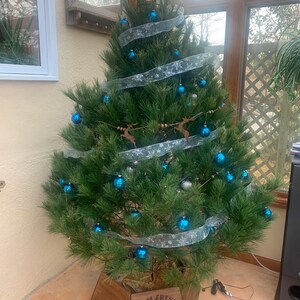 Spring Assortment Rusty and Rustic Springs-for Crafts | Etsy