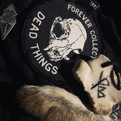 Forever Collecting Dead Things Illustration High-quality 21cm Square ...