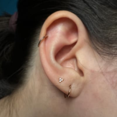 14K Solid Gold Lotus Flower Hinged Daith Hoop Clicker/cartilage Hoop ...