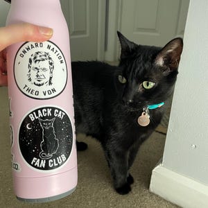 Buckethead Sticker, Guitar God, KFC Laptop Glossy Sticker - Etsy