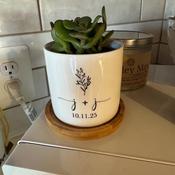 Personalized DNP Graduation Gift 3 White Ceramic Pot W/ Live Plant DNP Gift Doctor of Nursing ...