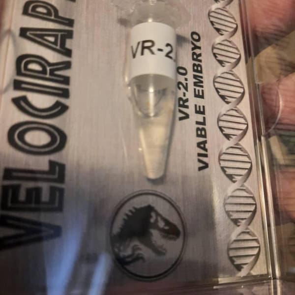 Three Seashells Demolition Man Replica Prop Display - Etsy