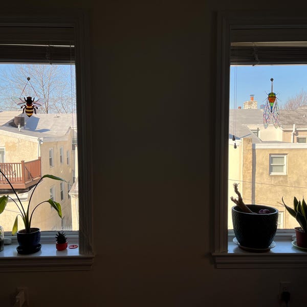 Cicada Stained Glass Window Hangings / Insect Custom Stained Glass ...