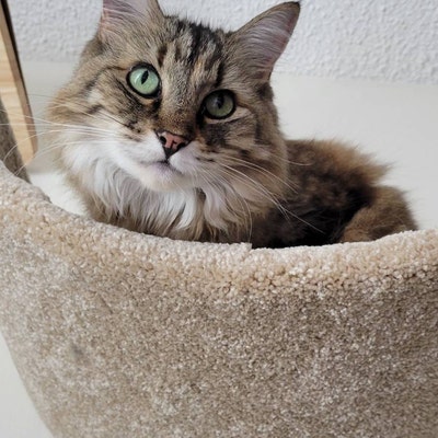 A-frame Cat Scratch Post/scratching Post/cat - Etsy