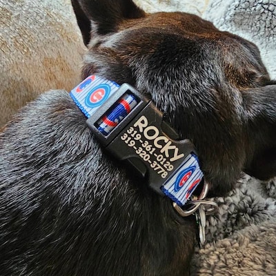 Midnight Navy Blue NY Yankees Dog Collar Bronx Bombers Personalized ...