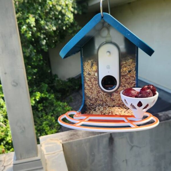 Deluxe Double Perch Add-on With Screw Mounts for Suet Ball & Bird Buddy ...