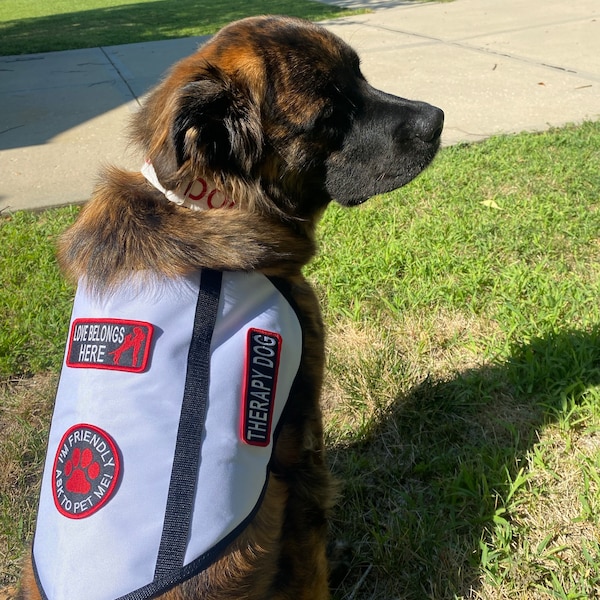 Custom Dog Vest | Adjustable Working Dog Gear - Etsy