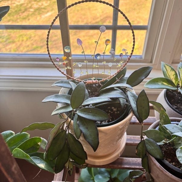 Twisted Copper Spider Web Trellis - Spider Gemstone Plant Trellis- Hoya ...