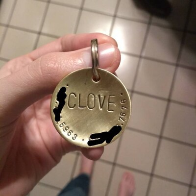 Custom Dog Tag / Custom Pet ID Tag Lucy in 1.25'' Domed Bronze ...