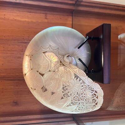 Carved Pearl Nautilus Shell Dragon Carving,real and Natural Nautilus ...