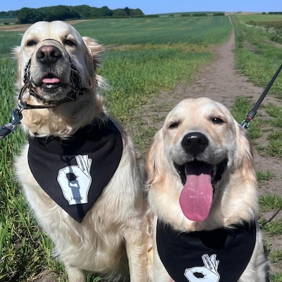 Spoilt Rotten Pets Nauti Dog Summer Vibes Dog Bandana 4 Sizes 6 Colours ...