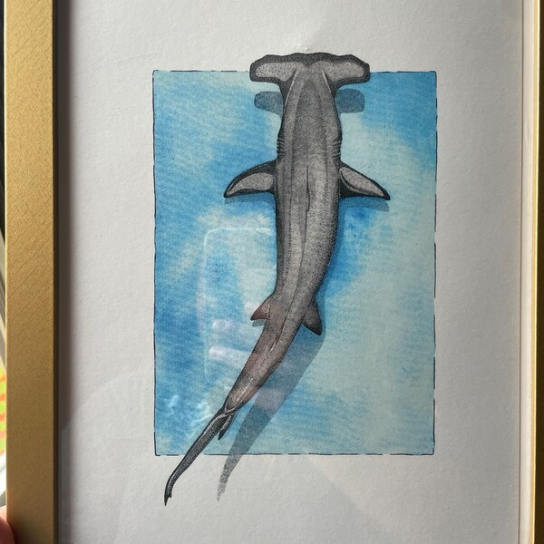 Reef Shark Watercolour Print - Marine Themed Wall Art Home Design - Etsy