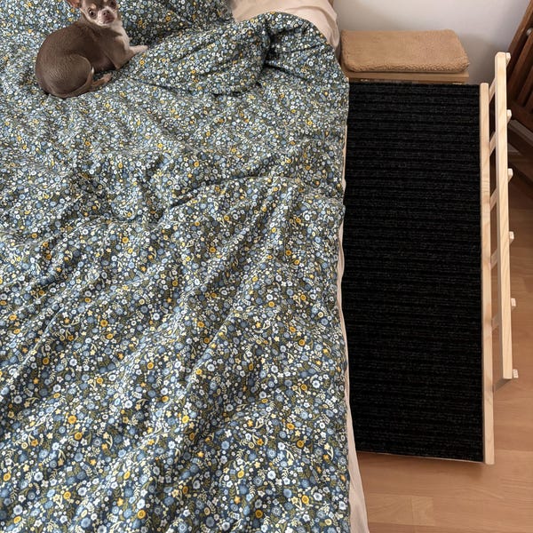 Pet Ramp With Foldable Rails | 4 Height Levels | Adjustable | Steps - Etsy