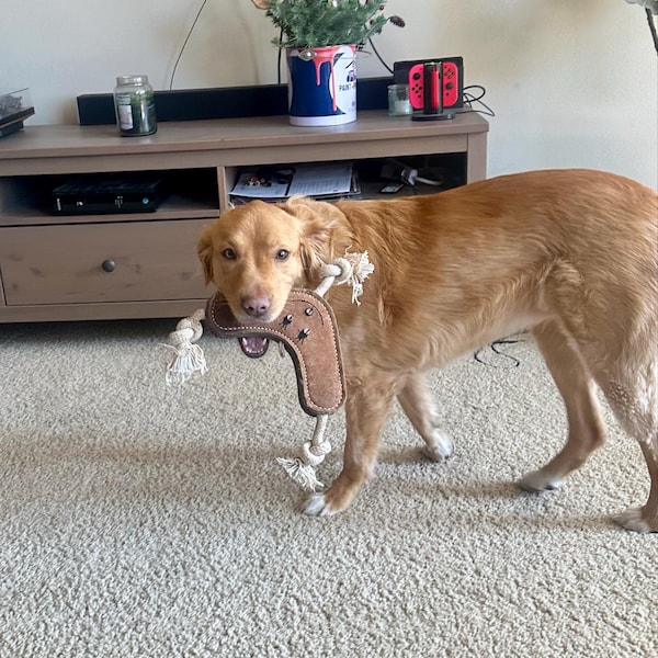All-natural Water Buffalo Cheek Rolls for Dogs – Long Lasting Rawhide ...